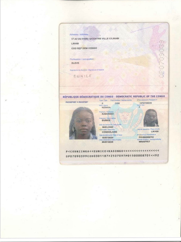 Passport | PDF
