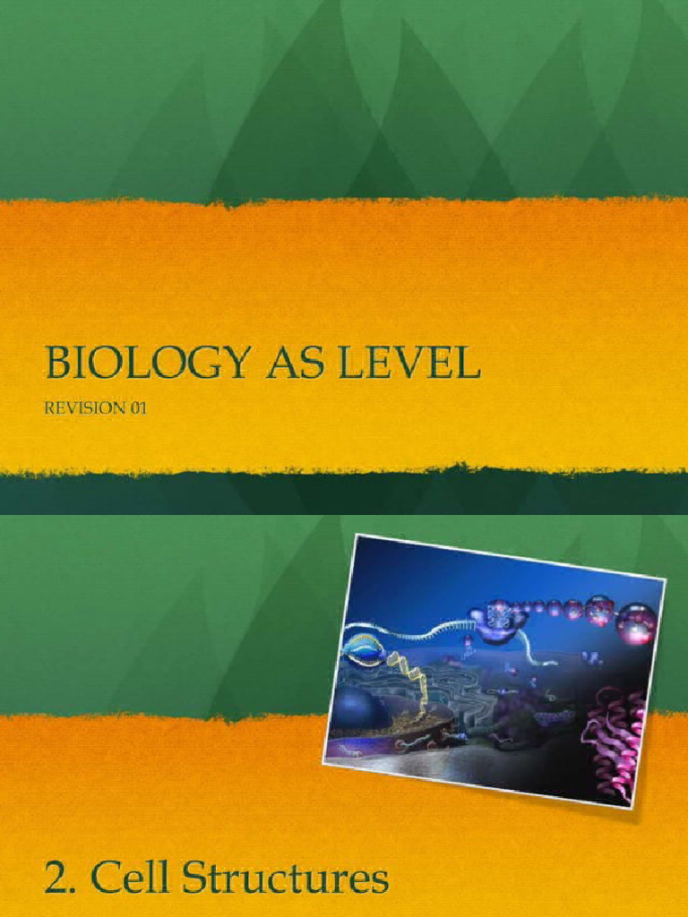 Part 2 As Level Biology Revision Note 12 Cell Structures | PDF