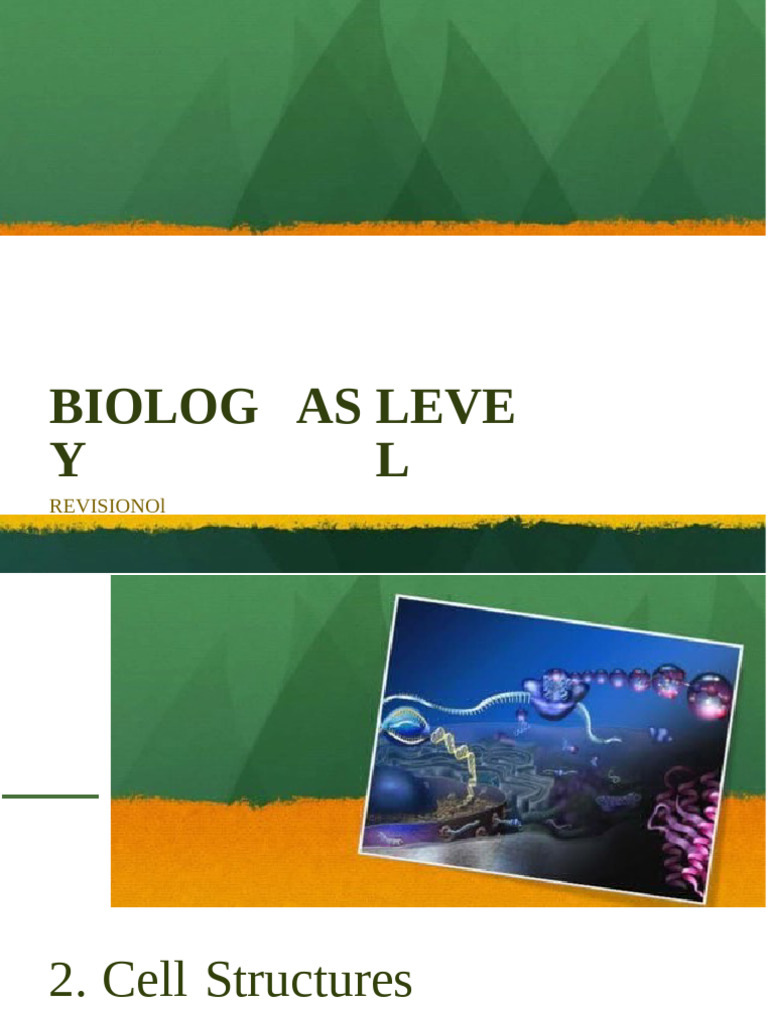 Part 2 As Level Biology Revision Note 12 Cell Structures | PDF