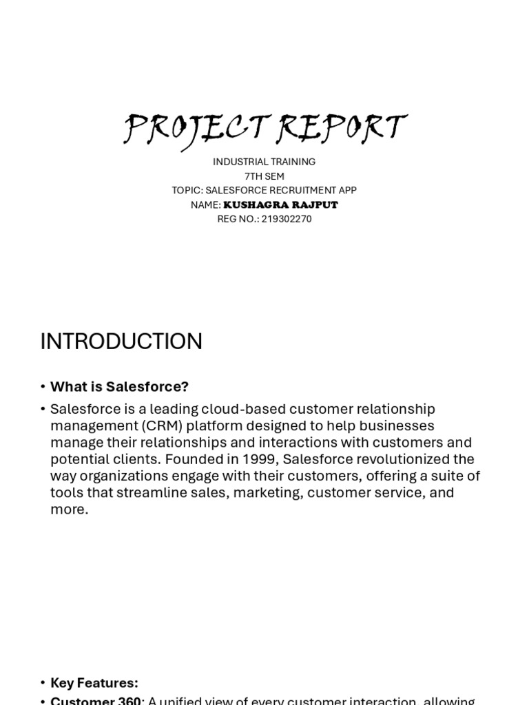 Industrial Training Project | PDF | Customer Relationship Management ...