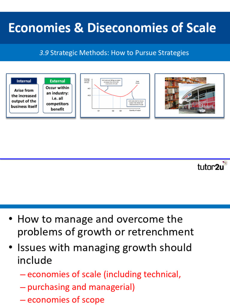 Business Growth Strategies | PDF | Economies Of Scale | Business