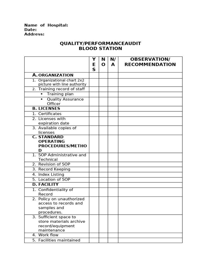 Performance Audit | PDF