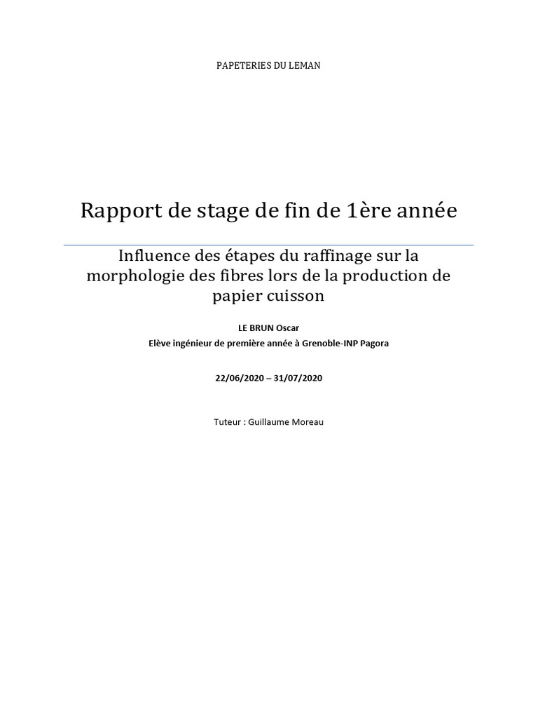 Rapport de Stage | PDF