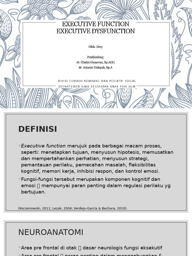 Executive Function | PDF