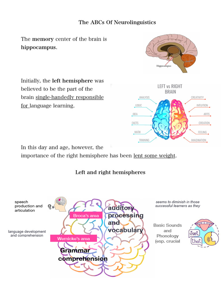 Brain and Language | PDF