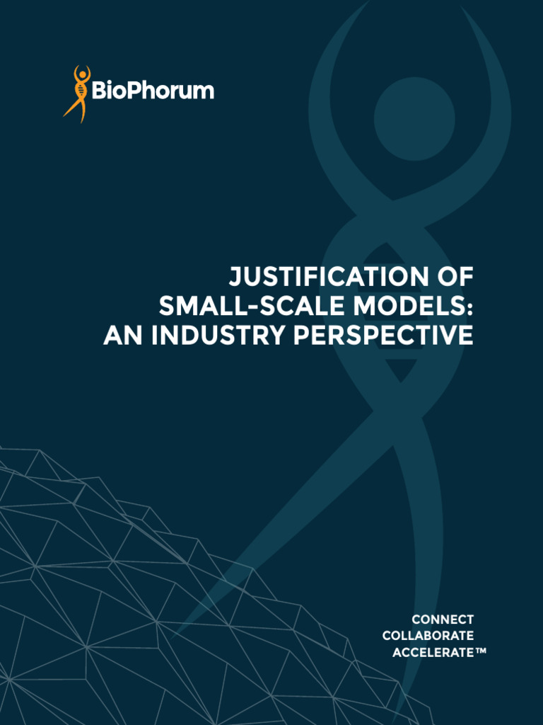 Justification of Small-scale Models-2021 | PDF