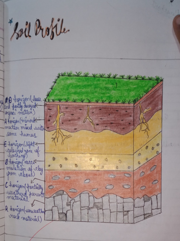 8 TH Social Flowchart and Diagram | PDF
