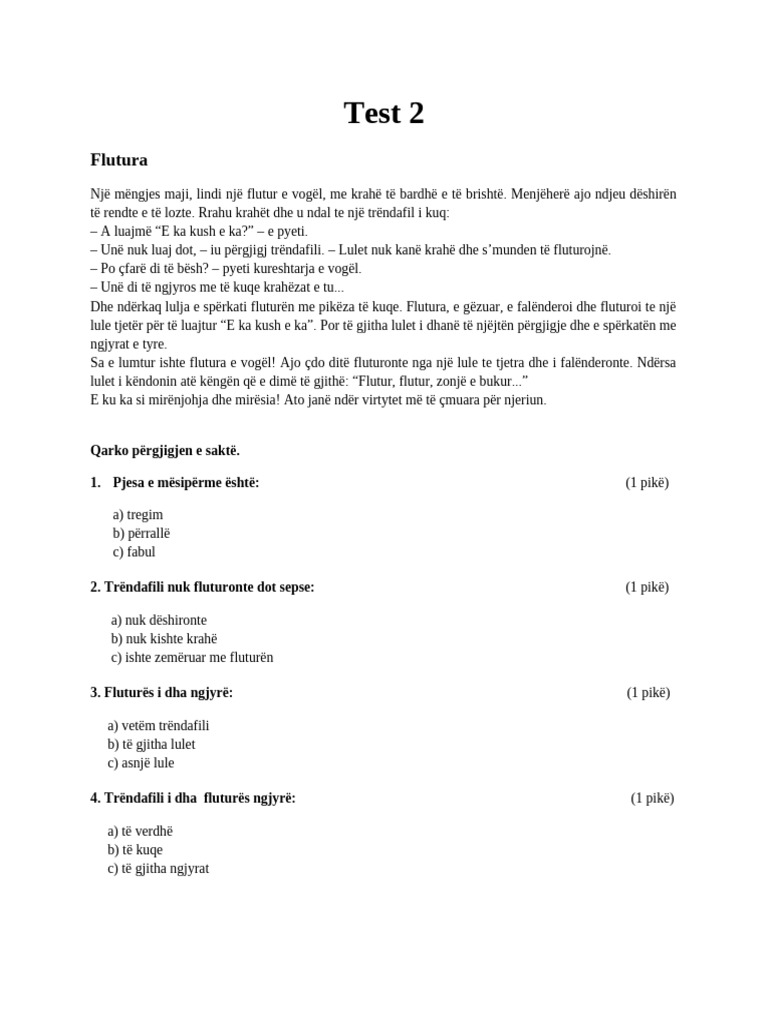 Gjuha Shqipe 4 - Test 2 | PDF