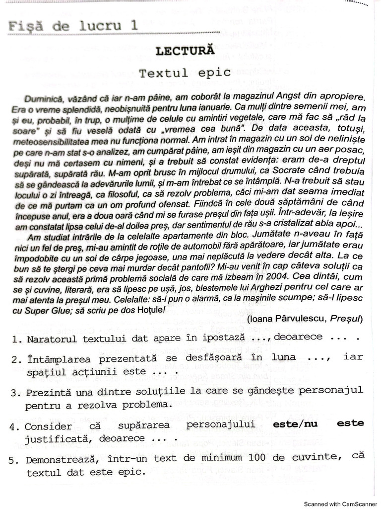 FL - Textul Epic VII +VIII | PDF