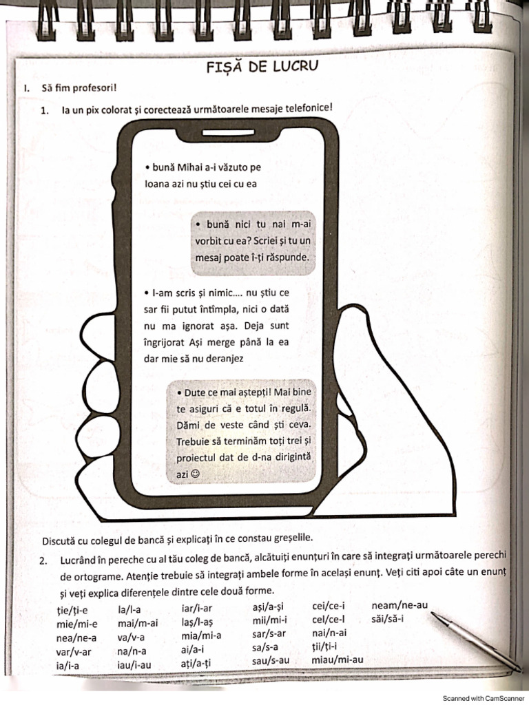 Fisa de Lucru - Pronume Personal VI | PDF