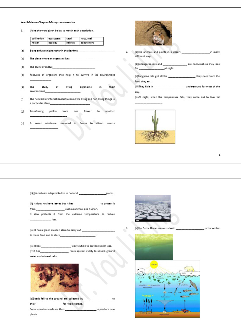 Year 8-Science-Chapter 4-Ecosystems-exercise-student | PDF