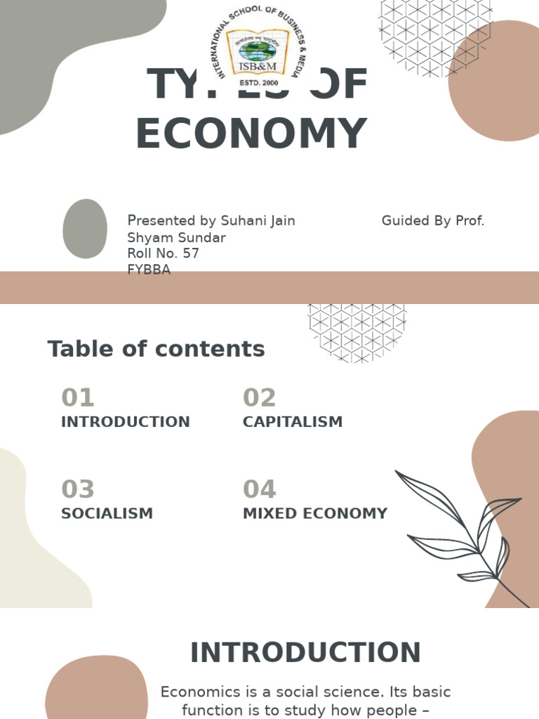 Types of Economy | PDF
