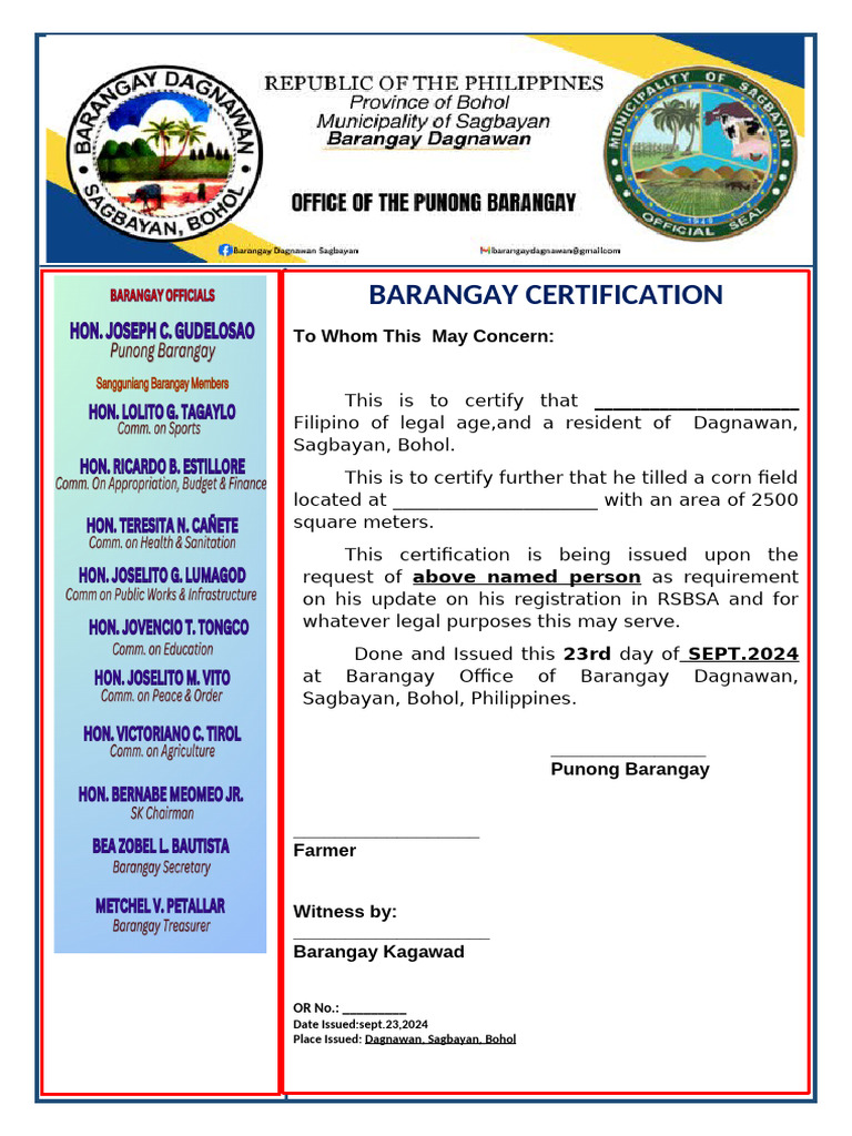 BARANGAY CERTIFICATION.RSBSA | PDF