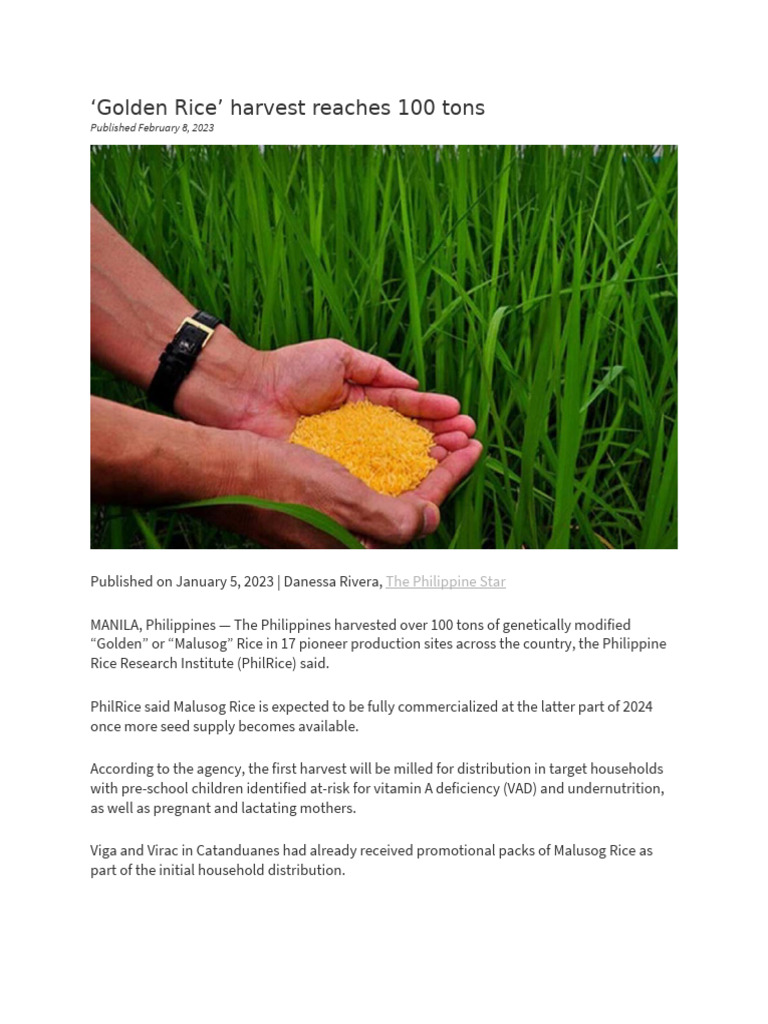 Golden Rice | PDF