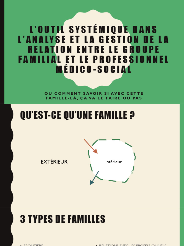 L'outil Systémique Dans L'analyse Et La Gestion de | PDF