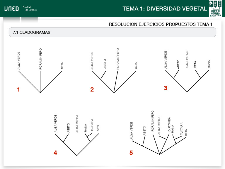 Resolución Ejercicio Tema 1 Dveg | PDF