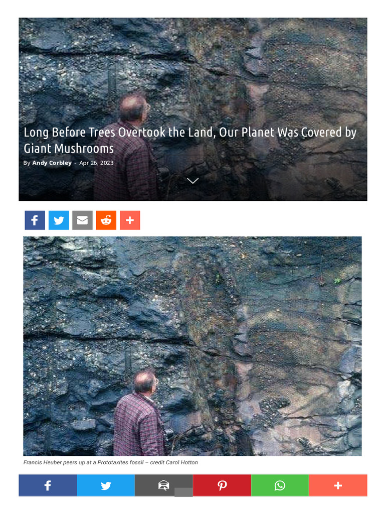 Long Before Trees Overtook The Land, Our Planet Wa - 1682642709860 ...