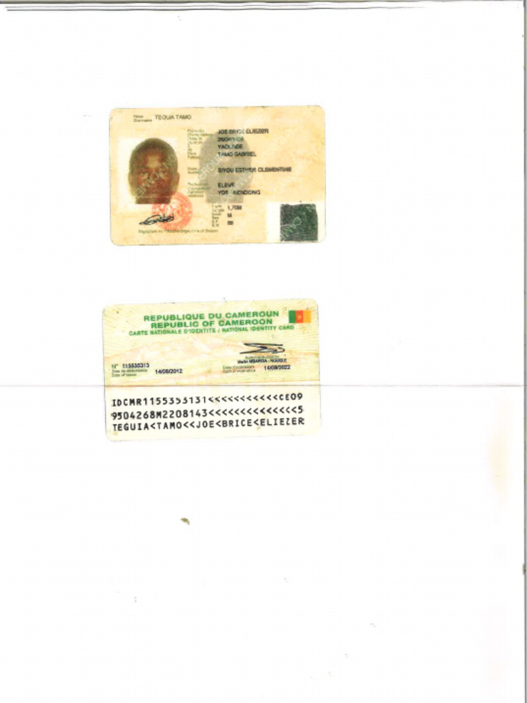 Carte Nationale D'identité CNI | PDF