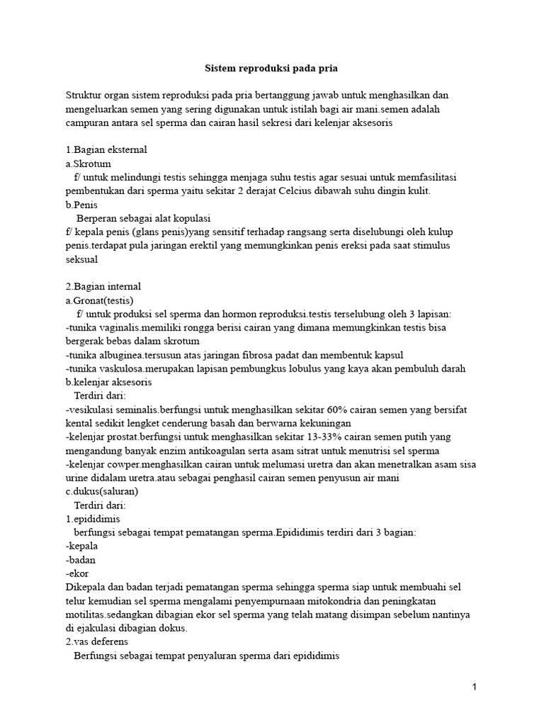 Sistem Reproduksi Pada Pria | PDF