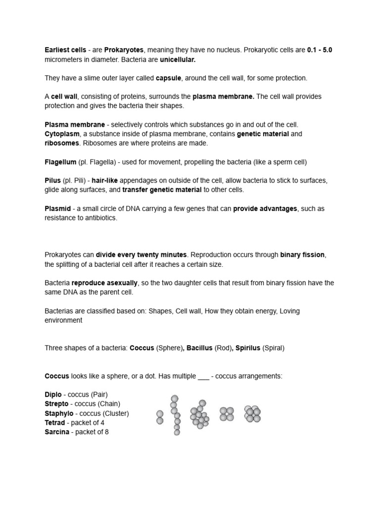 L6. Introduction To Bacteria | PDF