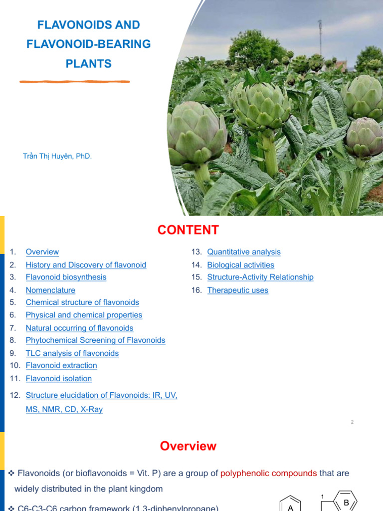 Flavonoid HT 2024 | PDF