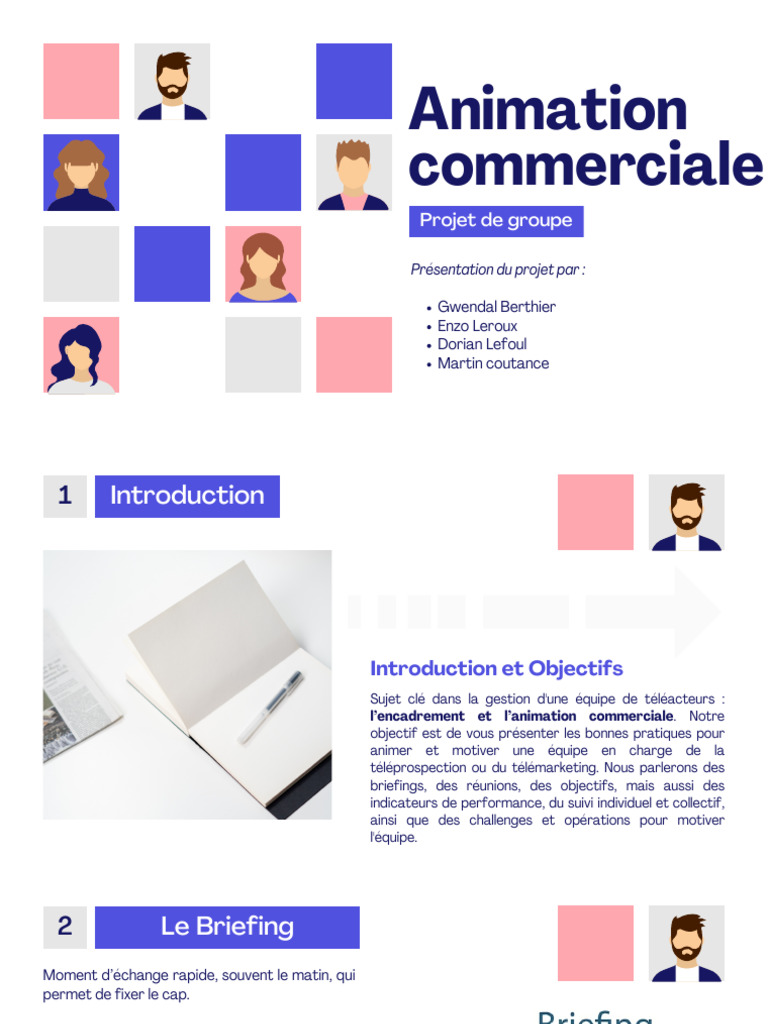 Animation Commerciale | PDF