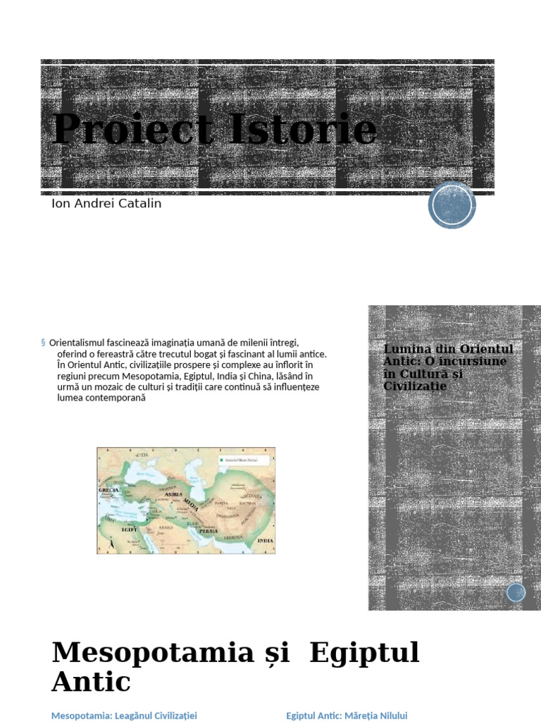 Proiect Istorie | PDF
