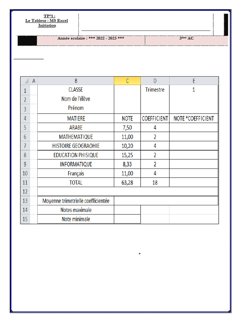TPn°1 MS Excel Initiation 3AC | PDF