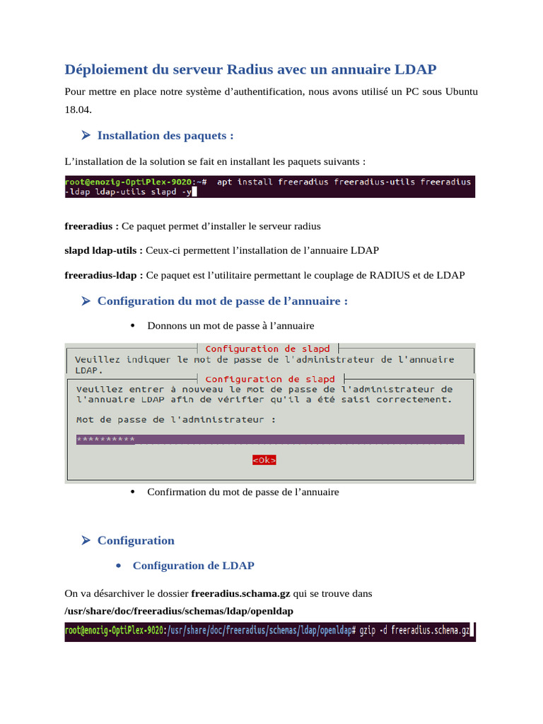 Radius Avec Un Annuaire LDAP | PDF