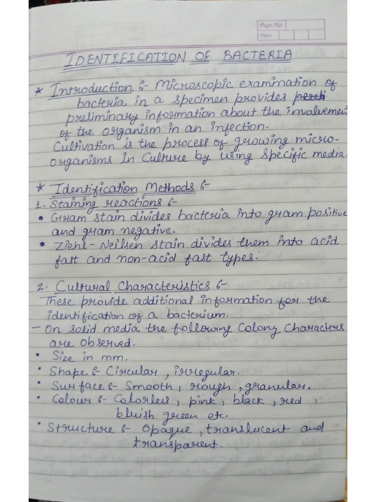 Identification of Bacteria Notes | PDF