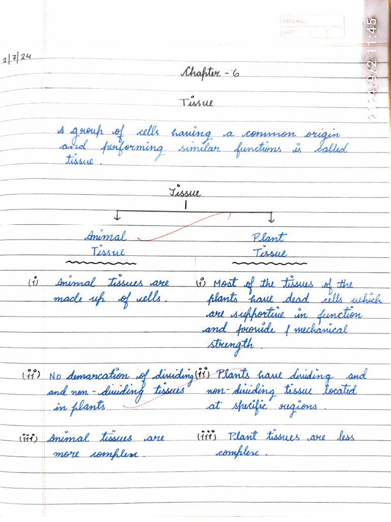 Tissue Final - Class 9 Biology | PDF | Organisms | Histology
