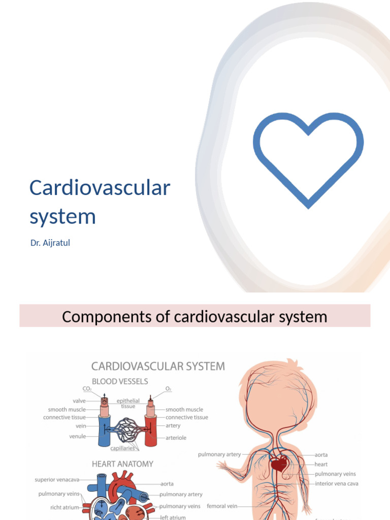 Chp 6 & 7 Cardiovascular System | PDF