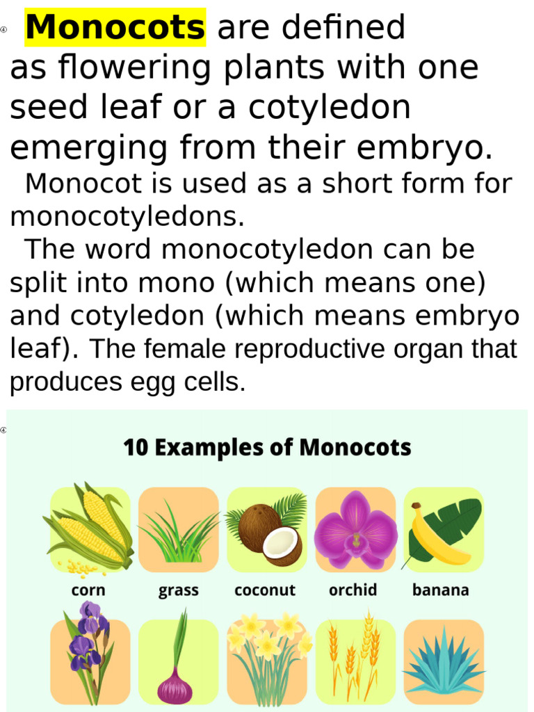 Science 5 Q2 Review | PDF