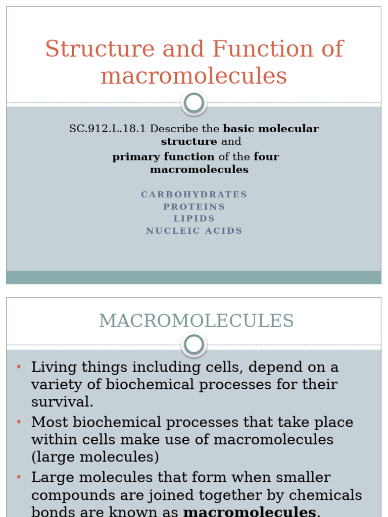 Sc.912.18.1 Structure and Function of Macromolecules Updated 4.19.24 | PDF