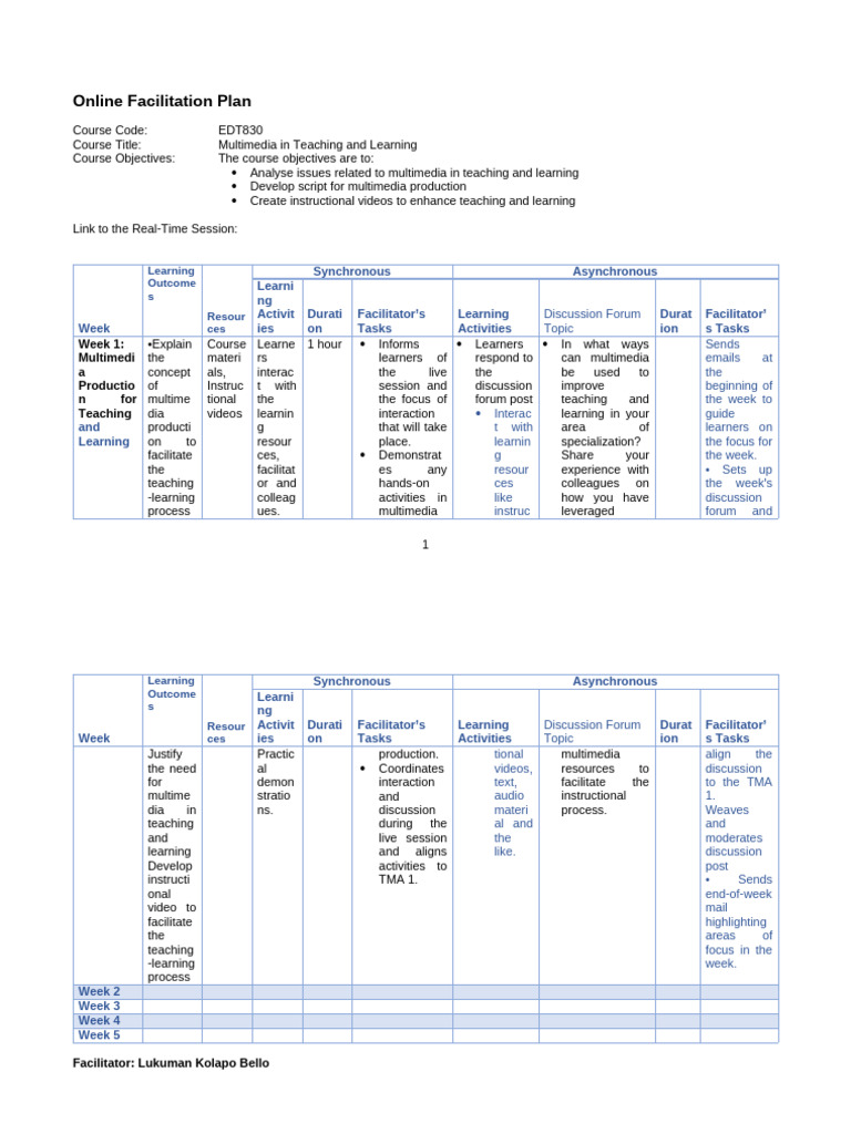 Facilitation Plan Template | PDF