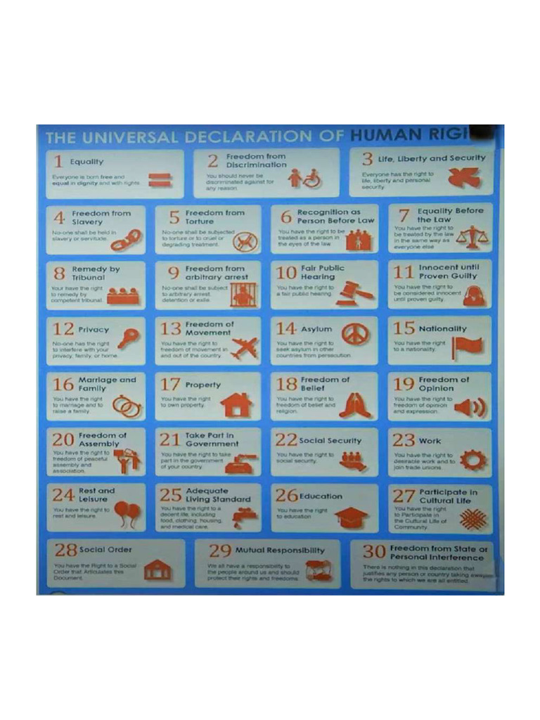 UDHR Bare Provision | PDF
