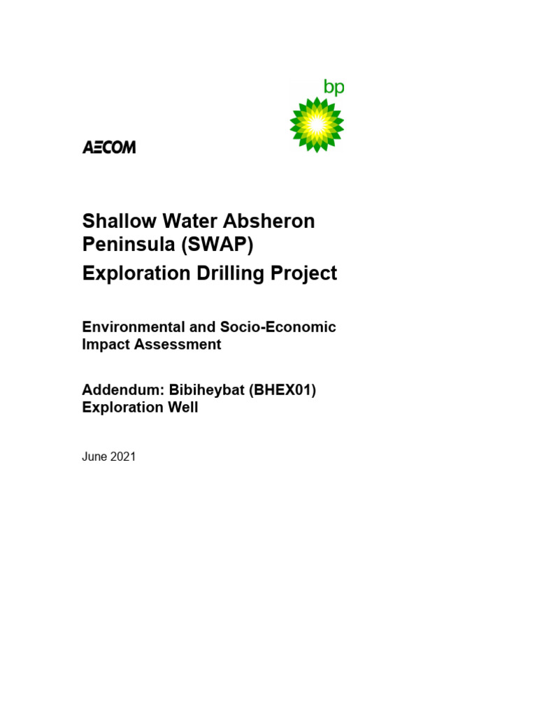 Swap Bhex Esia Eng 290621 | PDF