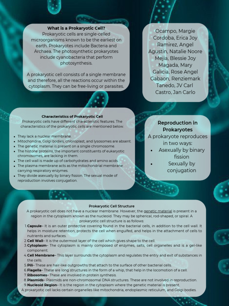Characteristics of Prokaryotic Cells | PDF | Cell (Biology) | Prokaryote