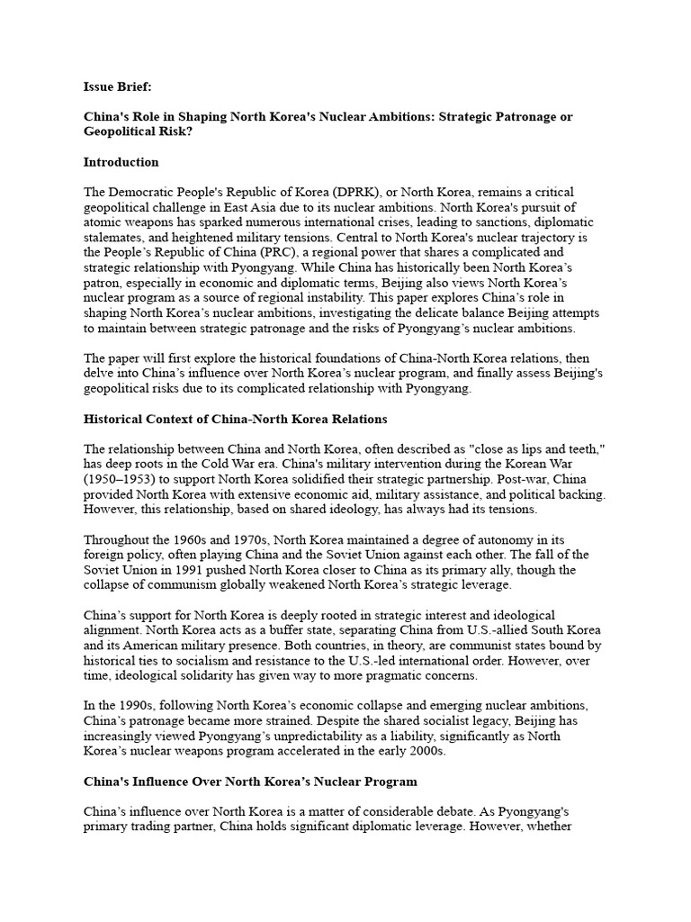 Issue Brief CNES | PDF