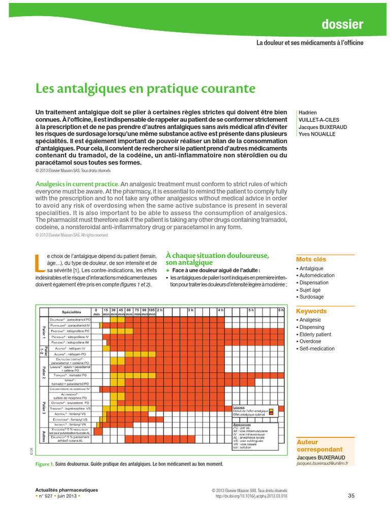Les Antalgiques en Pratique Courante | PDF