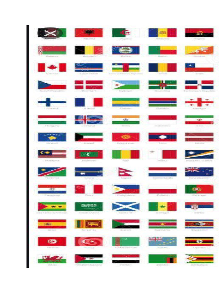 Flags of All Country Means The (Whole World) | PDF