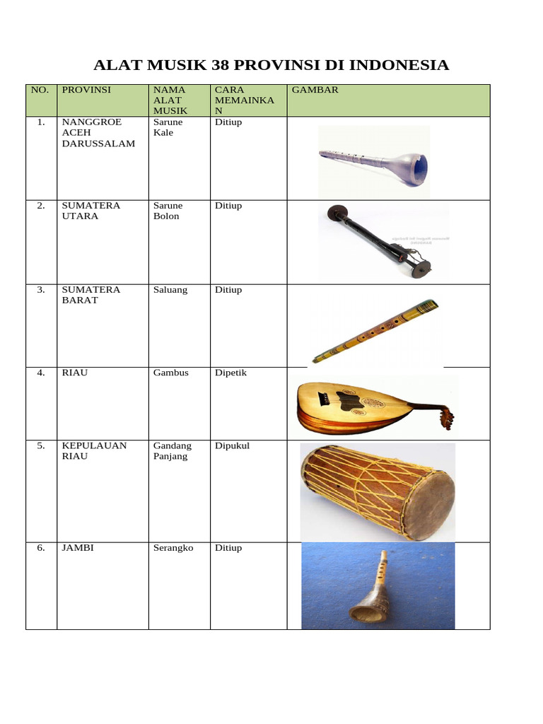 Tugas Alat Musik 38 Provinsi | PDF