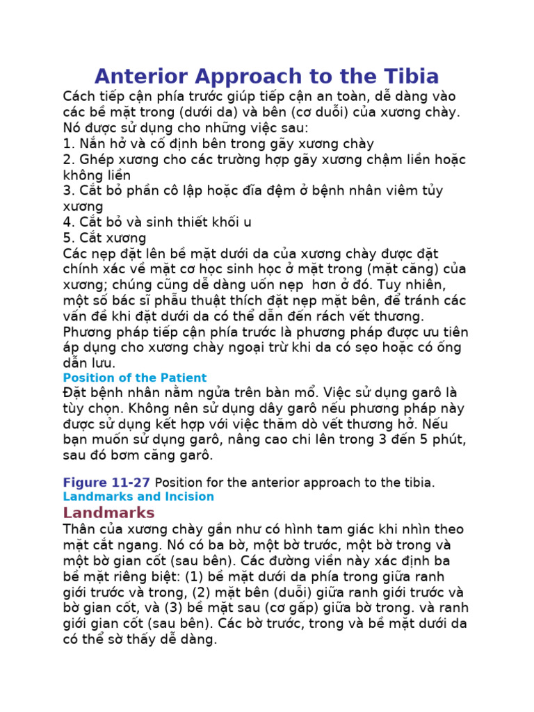 Anterior Approach to the Tibia | PDF