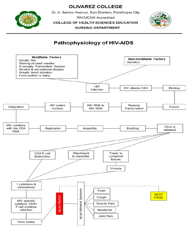 HIV-AIDS Pathophysiology | PDF