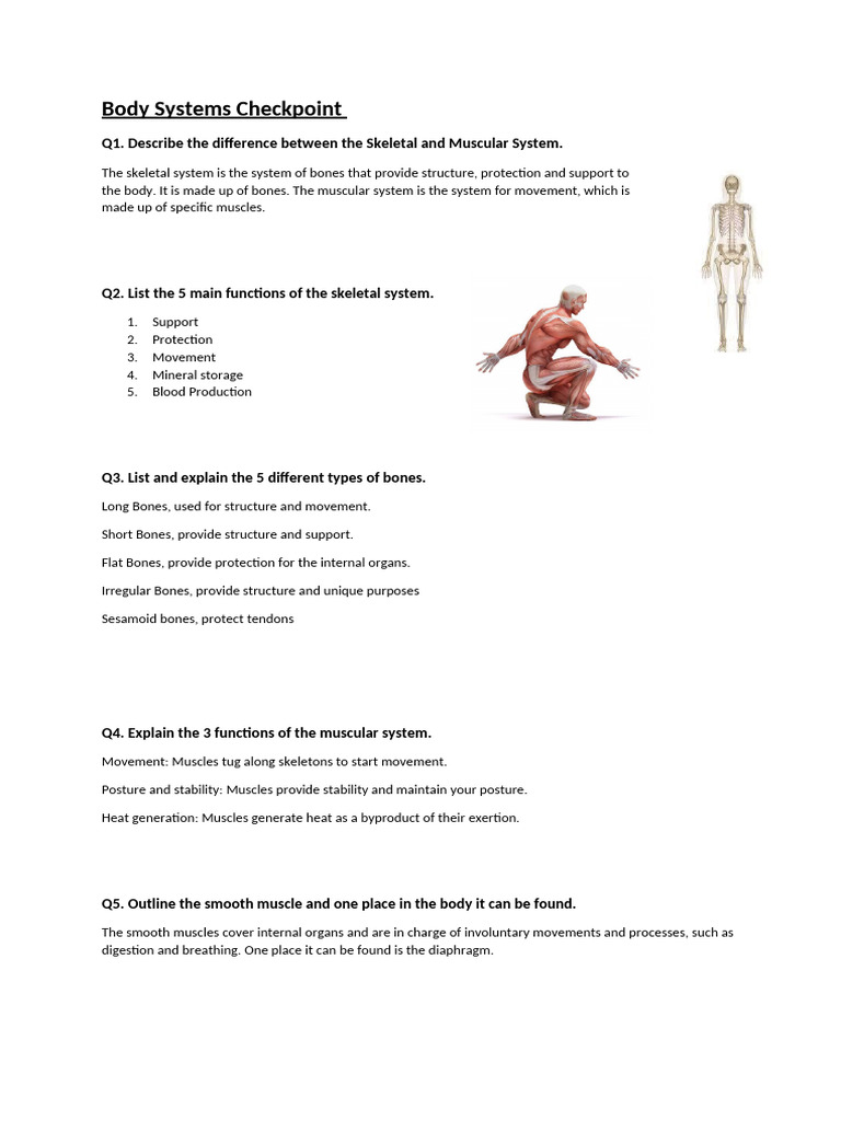 Body Systems Checkpoint | PDF