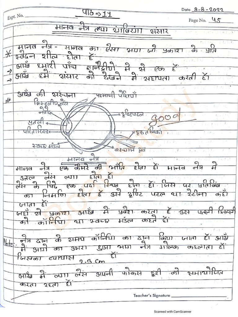 10 Manav Netra | PDF