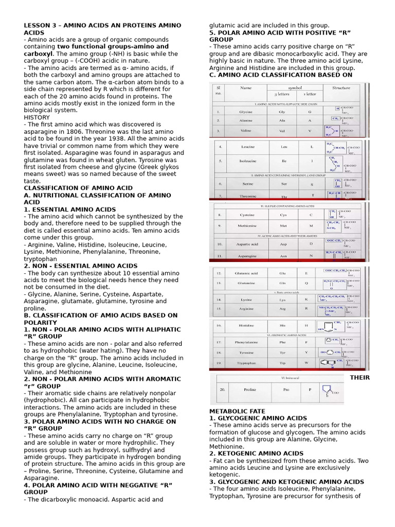Amino Acids Proteins Enzymes | PDF