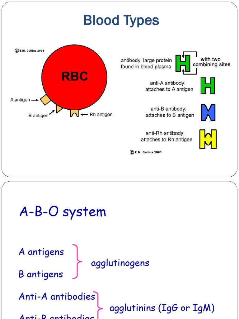 Blood Groups, Blood Transfusion | PDF