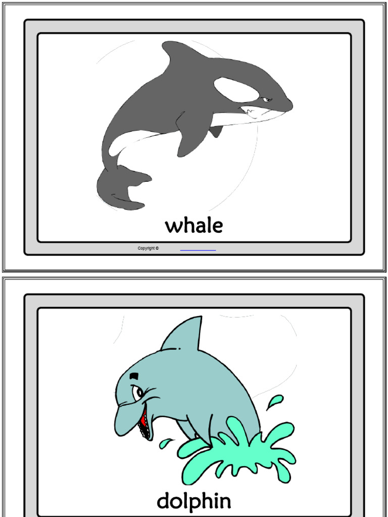 Sea Animals Vocabulary Esl Printable Flashcards With Words For Kids | PDF