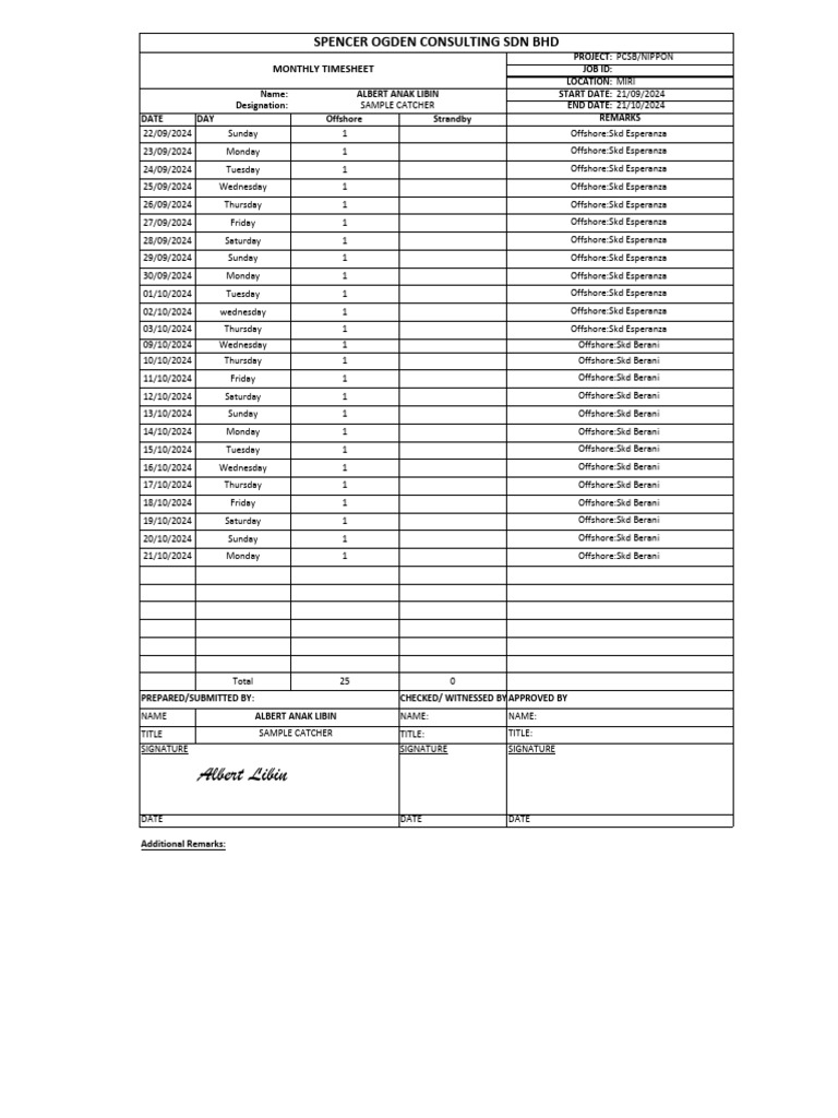 Timesheets For October 2024 | PDF